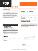 Sample PSEG Bill | PDF