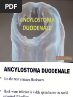 PyRx Protein-Ligand Docking Guide | PDF | Docking (Molecular) | Ligand ...
