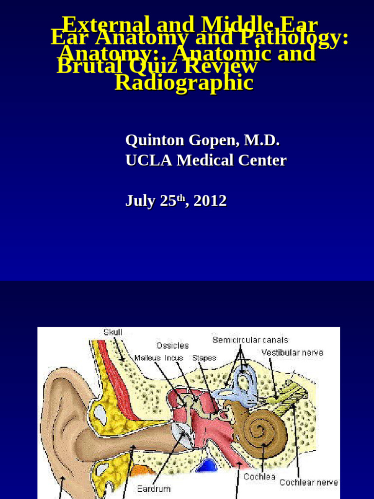 7-25-12_gopen_Ear_anatomy_0 | PDF | Hearing Loss | Otorhinolaryngology