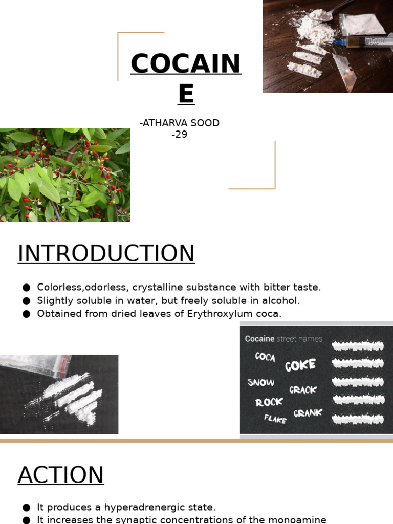 Cocaine | PDF | Cocaine | Clinical Medicine
