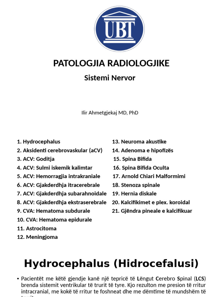 PR - Sistemi Nervor PP | PDF