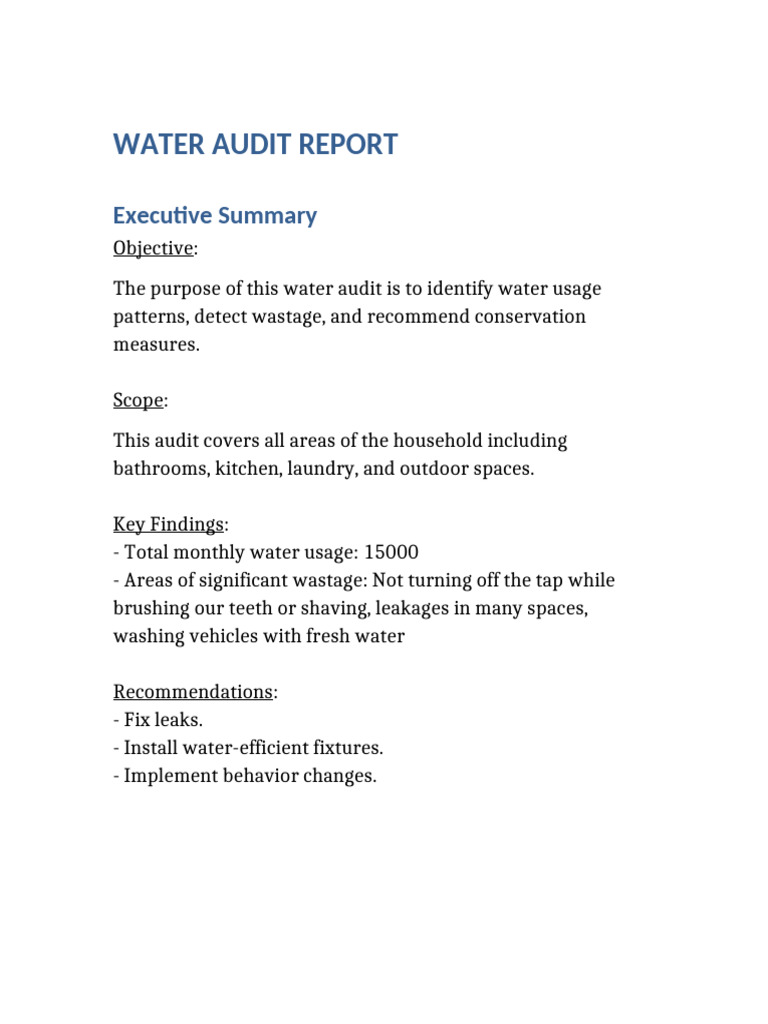 Water Audit Report | PDF