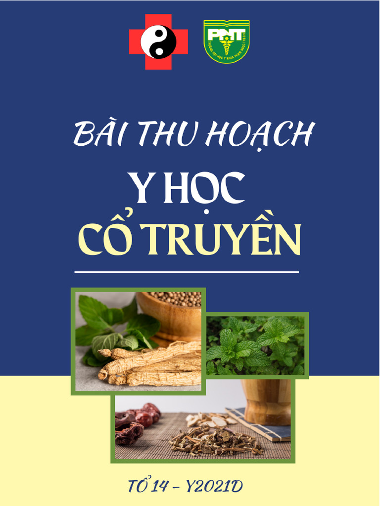 YHCT f3 | PDF