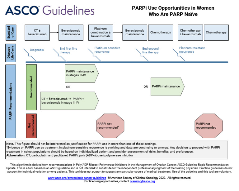 2022 PARPi Rapid Update Algorithm | PDF | Therapy | Epidemiology
