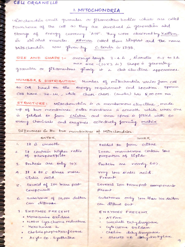 Cell Bio Print | PDF