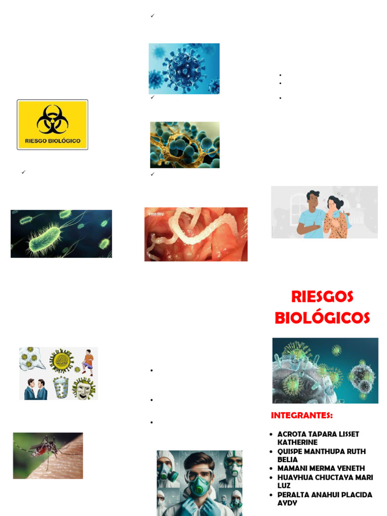 Factores de Riesgo Biológicos | PDF | Las bacterias | Virus
