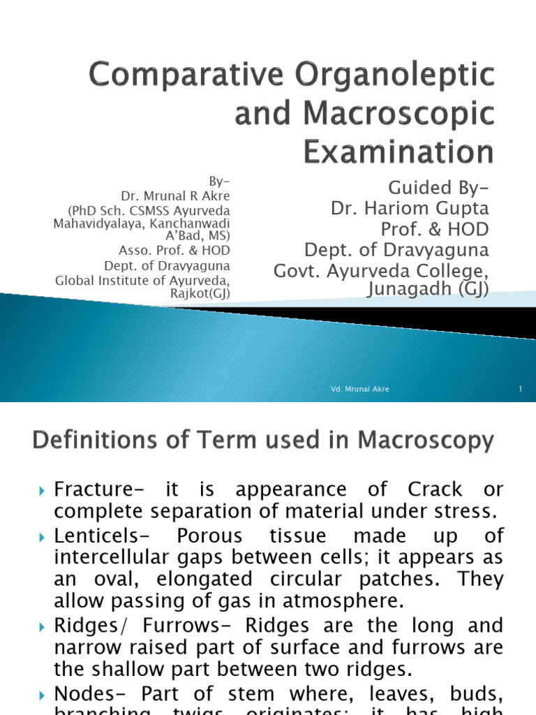 Practical No. 04 - VD Mrunal | PDF | Turmeric | Leaf