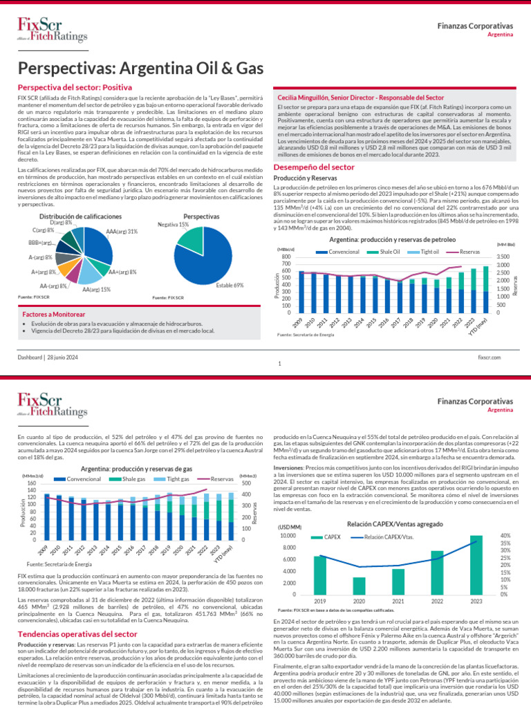 Perspectivas del Sector Oil & Gas en Argentina | PDF | Petróleo ...