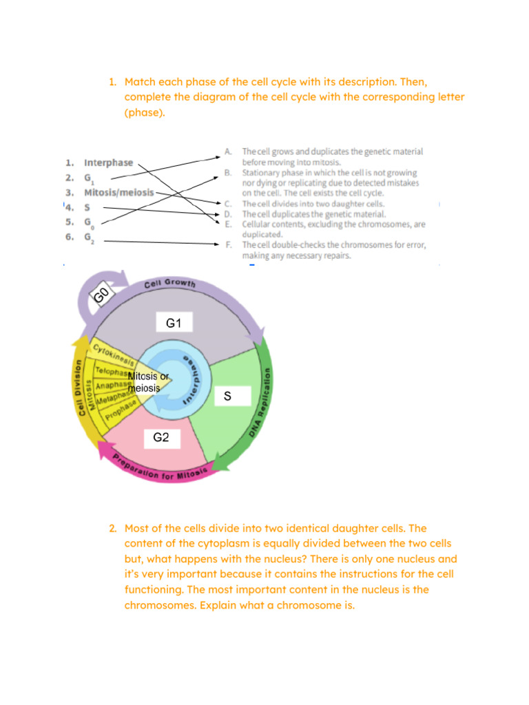 Biology Worksheet | PDF