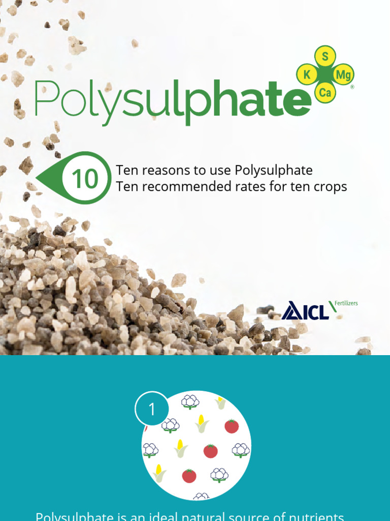Polysulphate 10 Reasons En | PDF | Soil | Fertilizer