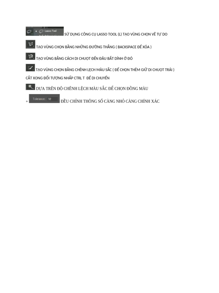 S D NG Công C Lasso Tool | PDF