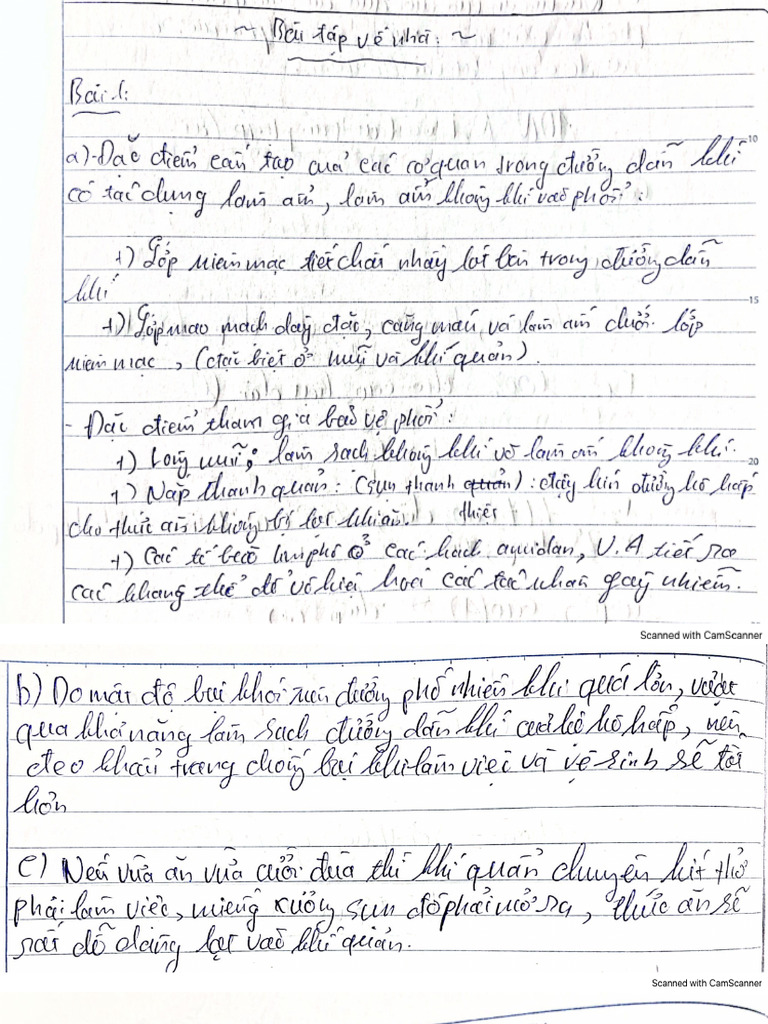 Btvn Mon Sinh Hoc | PDF