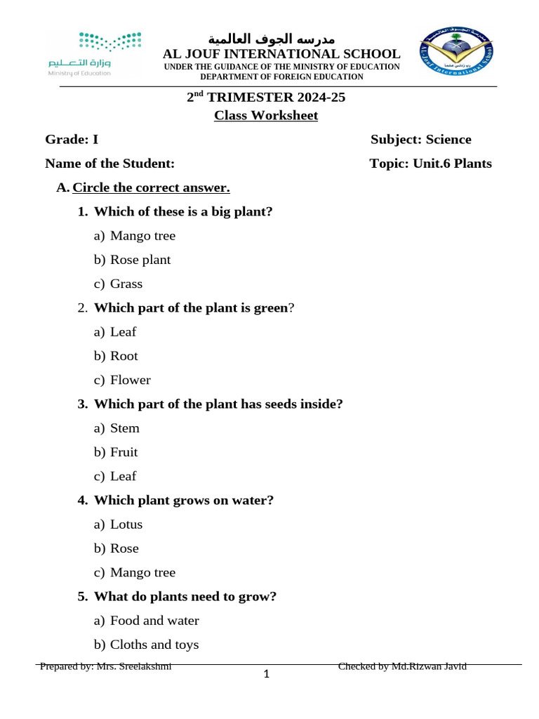 Grade 1 Science WS UNIT 6 | PDF | Plants | Trees