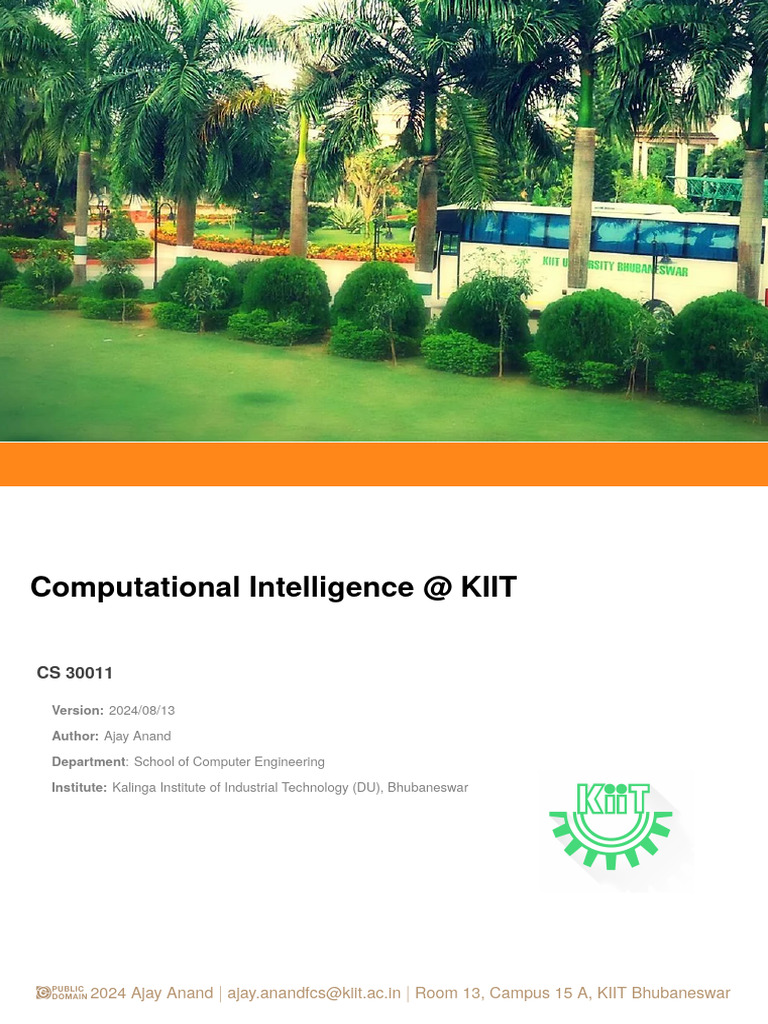 01-ci-cs6 | PDF | Neuron | Algorithms