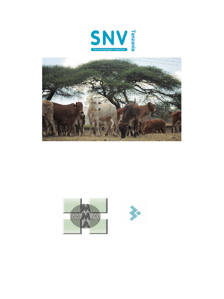 Red_Meat_value_chain_for_local_and_export_markets_-_SSA_Final__Report ...