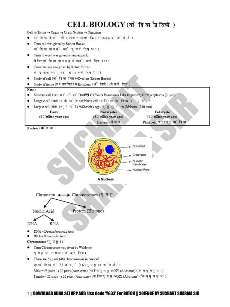 6.Cell_biology | PDF | Cell (Biology) | Mitochondrion