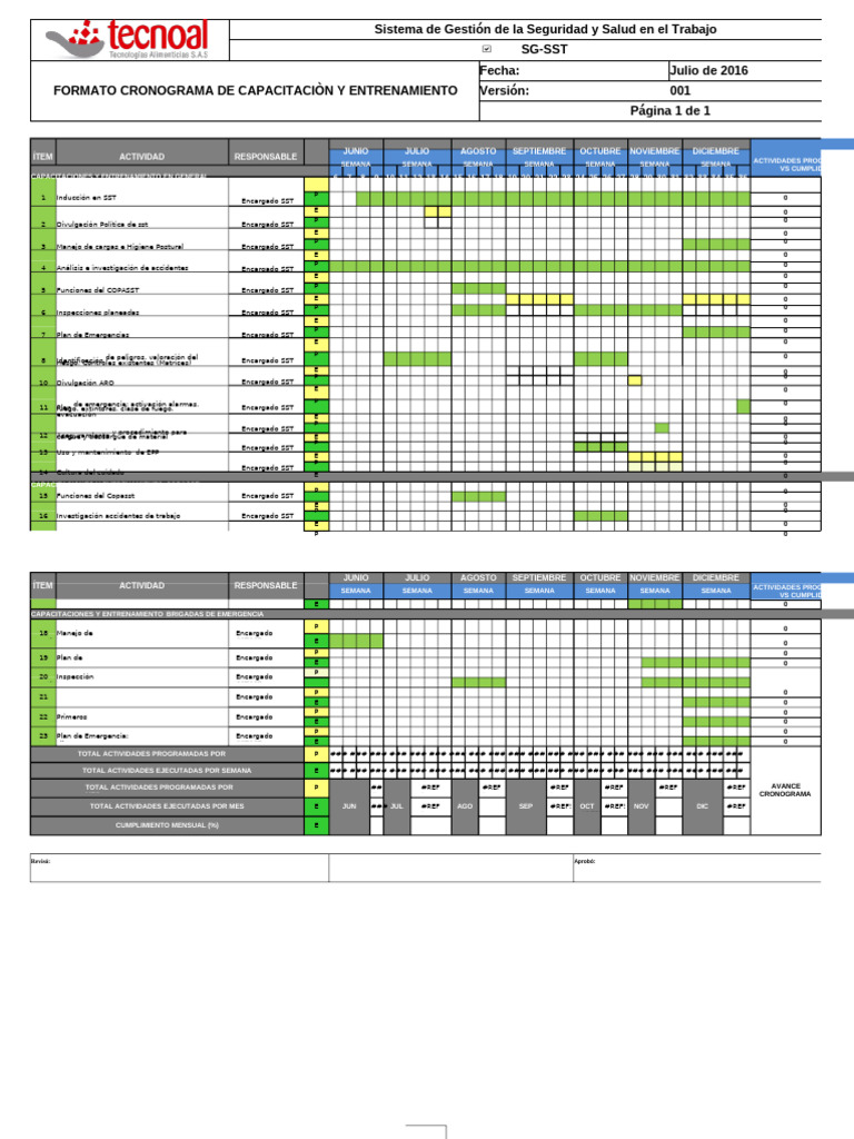 396452133-23-Formato-Cronograma-de-Capacitaciones-y-Entrenamiento | PDF