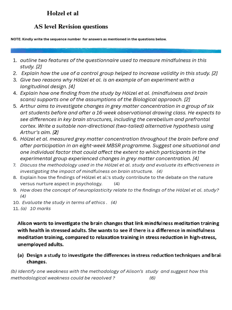 Holzel Test 9.9.24 | PDF