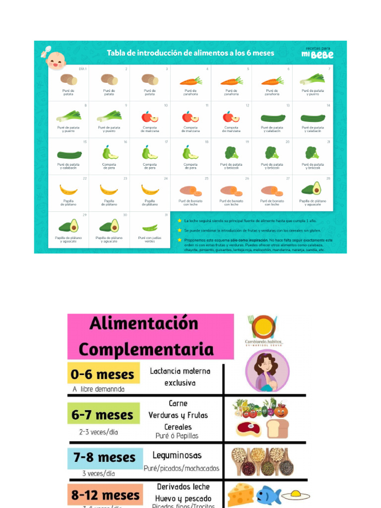 Alimentacion Complementaria | PDF