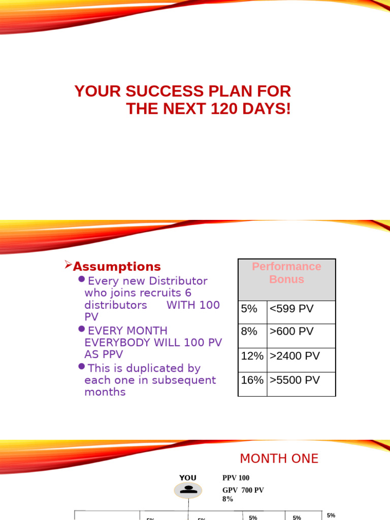 NEW Next 120 Days Success Plan | PDF