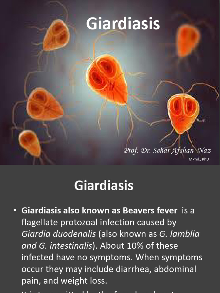 Giardiasis Pdf Parasitology Immunology