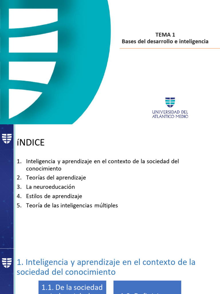 Unidad 1 Inteligencia y Aprendizaje CTFM | PDF | Aprendizaje | Constructivismo (filosofía de la ...