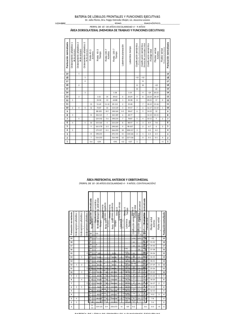 Gráficas, Interpretación BANFE | PDF | Neurociencia Cognitiva ...