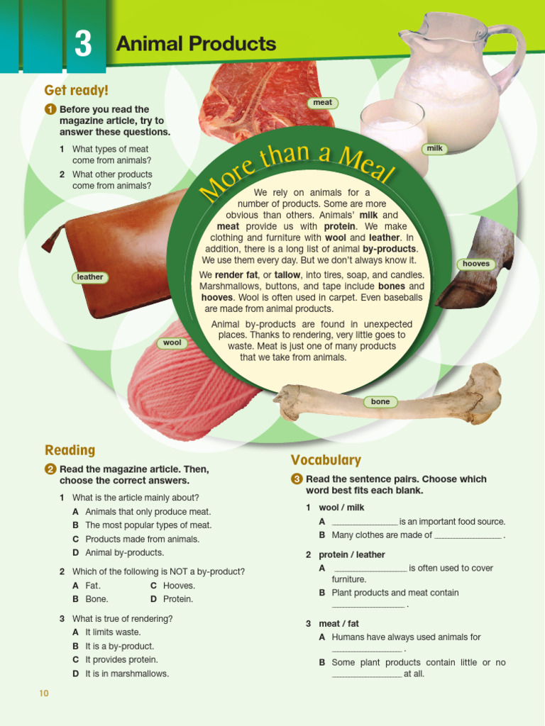 Understanding Animal By-Products | PDF