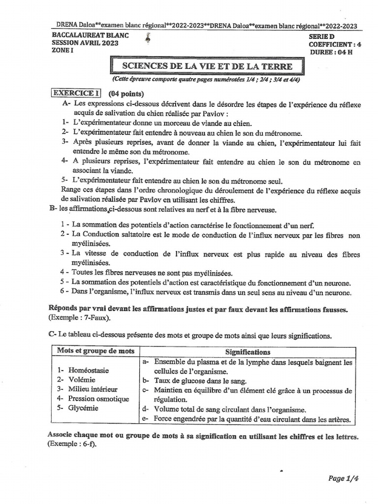 Bac 1 | PDF