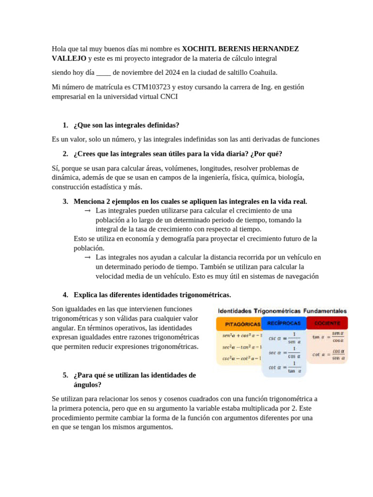 borrador proyecto integrador | PDF