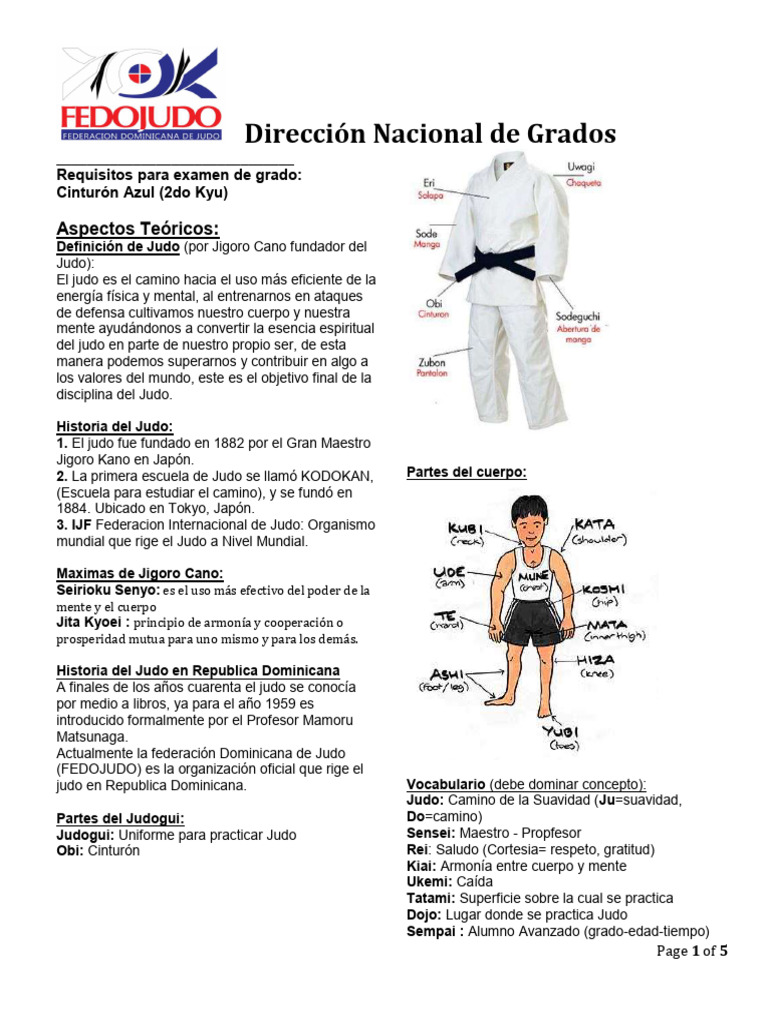 2do kyu Azul folleto guia | PDF | Judo | Tao