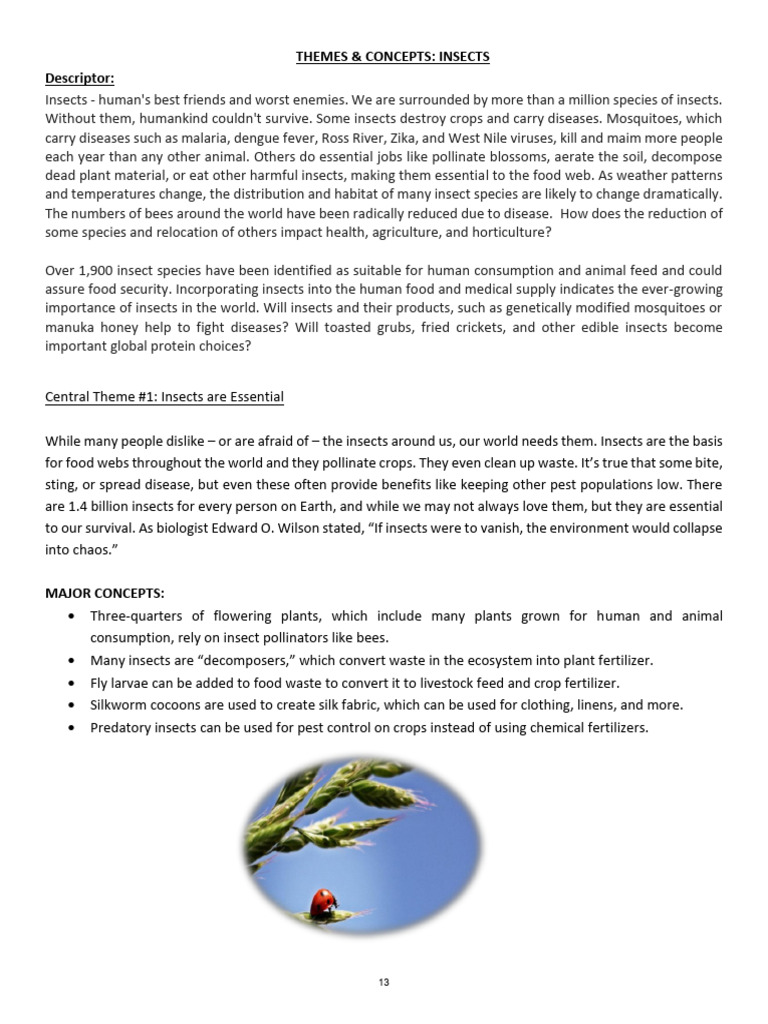 Bug Research | PDF | Insects