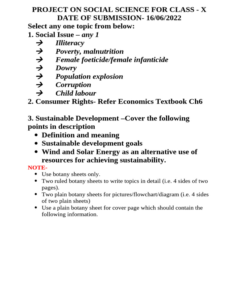 Class X Social Science Project | PDF