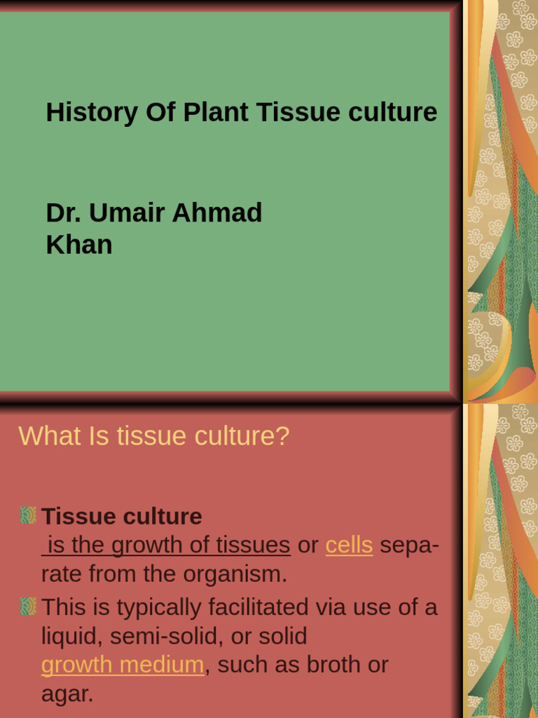History of Ptc (1) | PDF | Molecular Biology | Biology