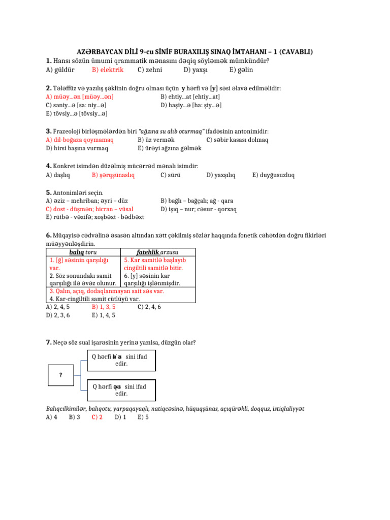 Yusif Müəllim. CAVABLI-TDV-BTL MY-1. Noyabr. 2024. Tuncay Nadirov 9-Cu Sinif | PDF