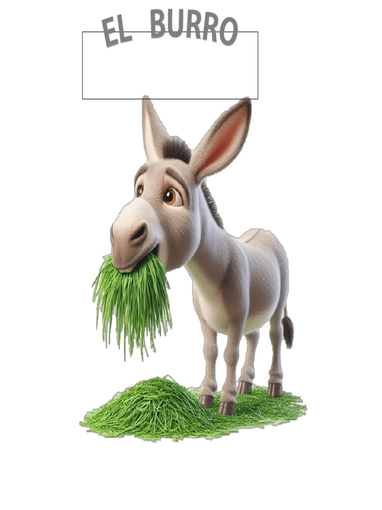 BURRO | PDF