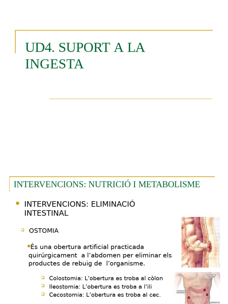 2 Ostomia, Ajuda a La Ingesta, Nutrició Enteral Ud4 | PDF