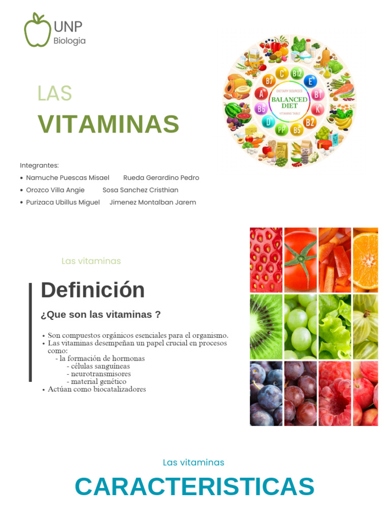 Las Vitaminas | PDF | Vitamina | Vitamina D