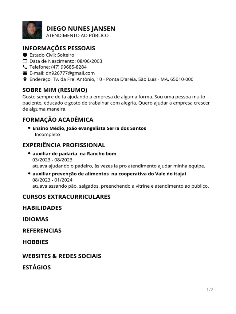 Currículo - Diego Nunes Jansen | PDF