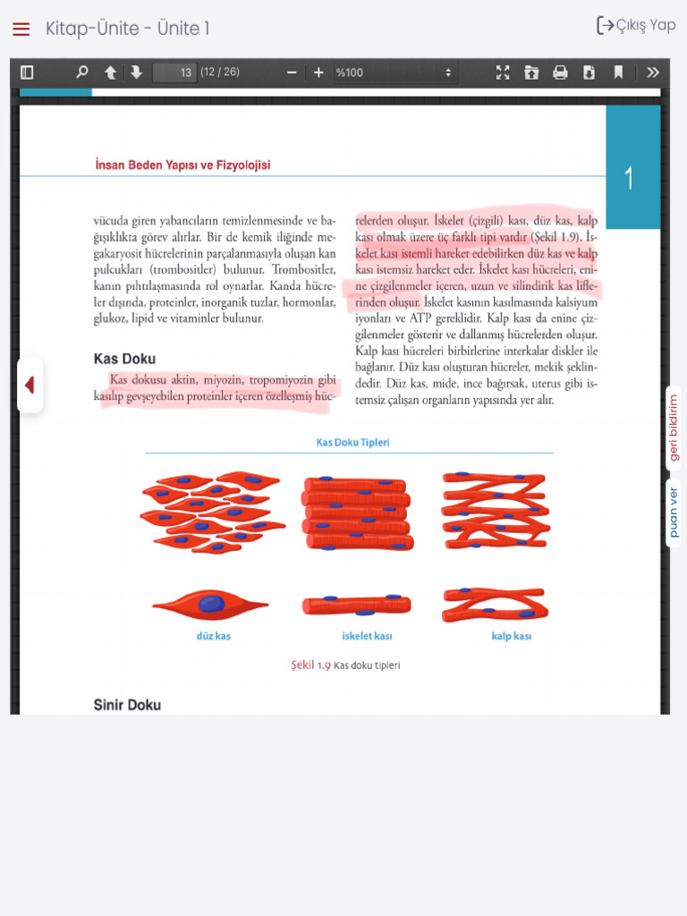 Safari - 14 Kas 2024 22:33 | PDF