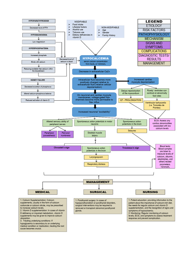 Pathophysio Hypocalcemia | PDF | Diseases And Disorders | Medical Specialties