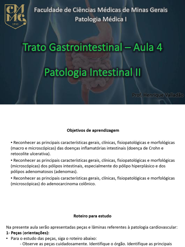 Doenças Inflamatórias Intestinais: Diagnóstico e Patogênese | PDF ...