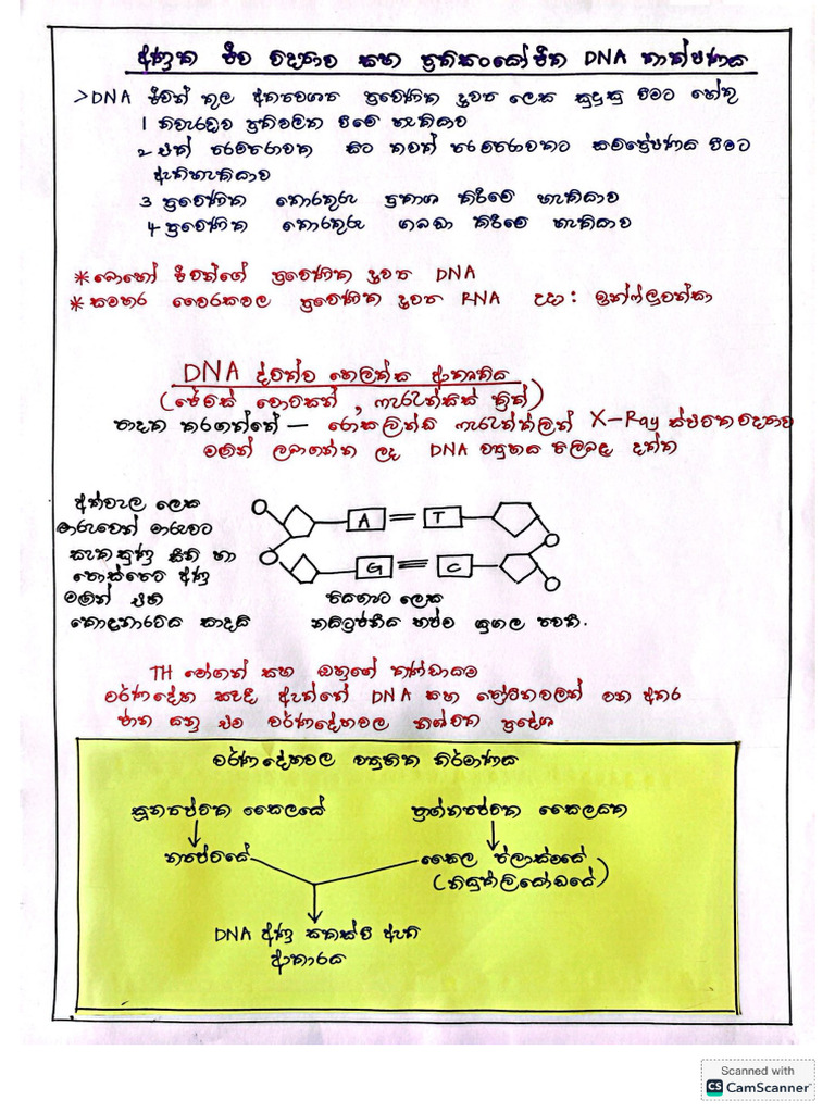 Molecular Bilogy Short Note SD | PDF