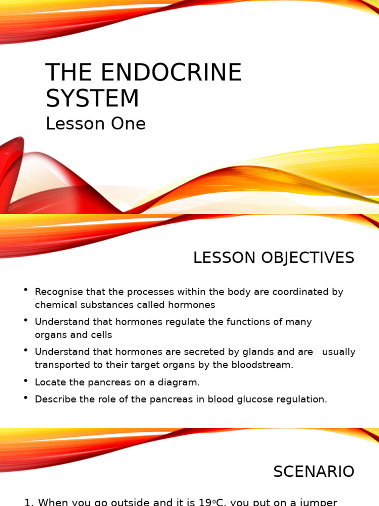 5. The endocrine system (2) | PDF | Hormone | Homeostasis