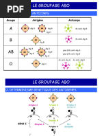 Groupage Sanguin | PDF | Groupe sanguin | Tissu biologique