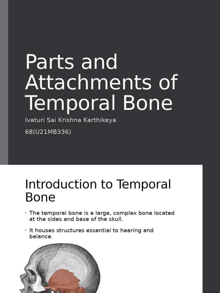 Temporal Bone Ppt | PDF | Human Anatomy | Otorhinolaryngology