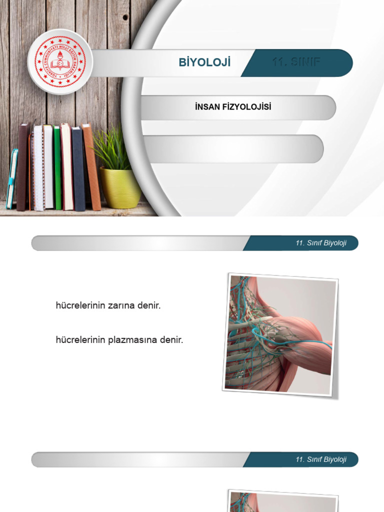 Destek Ve Hareket Kas 2023 | PDF