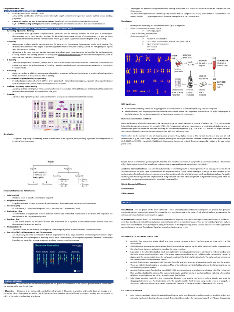 Basic Cytogenetics Laboratory Procedures | PDF | Microscopy | Cytogenetics