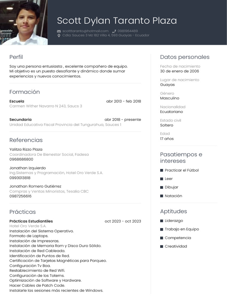 CV Scott Dylan Taranto Plaza | PDF | Informática | Tecnología de ...