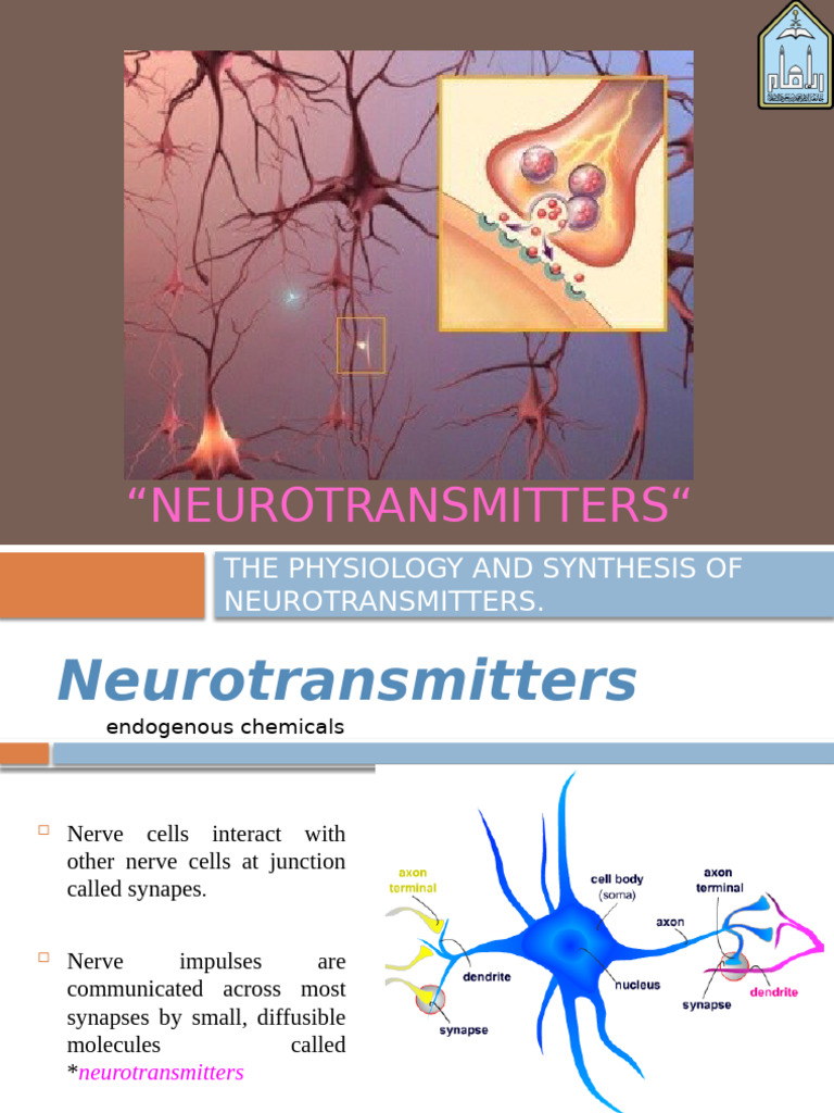 Physiology and Synthesis of Neurotransmitters | PDF | Neurotransmitter | Synapse